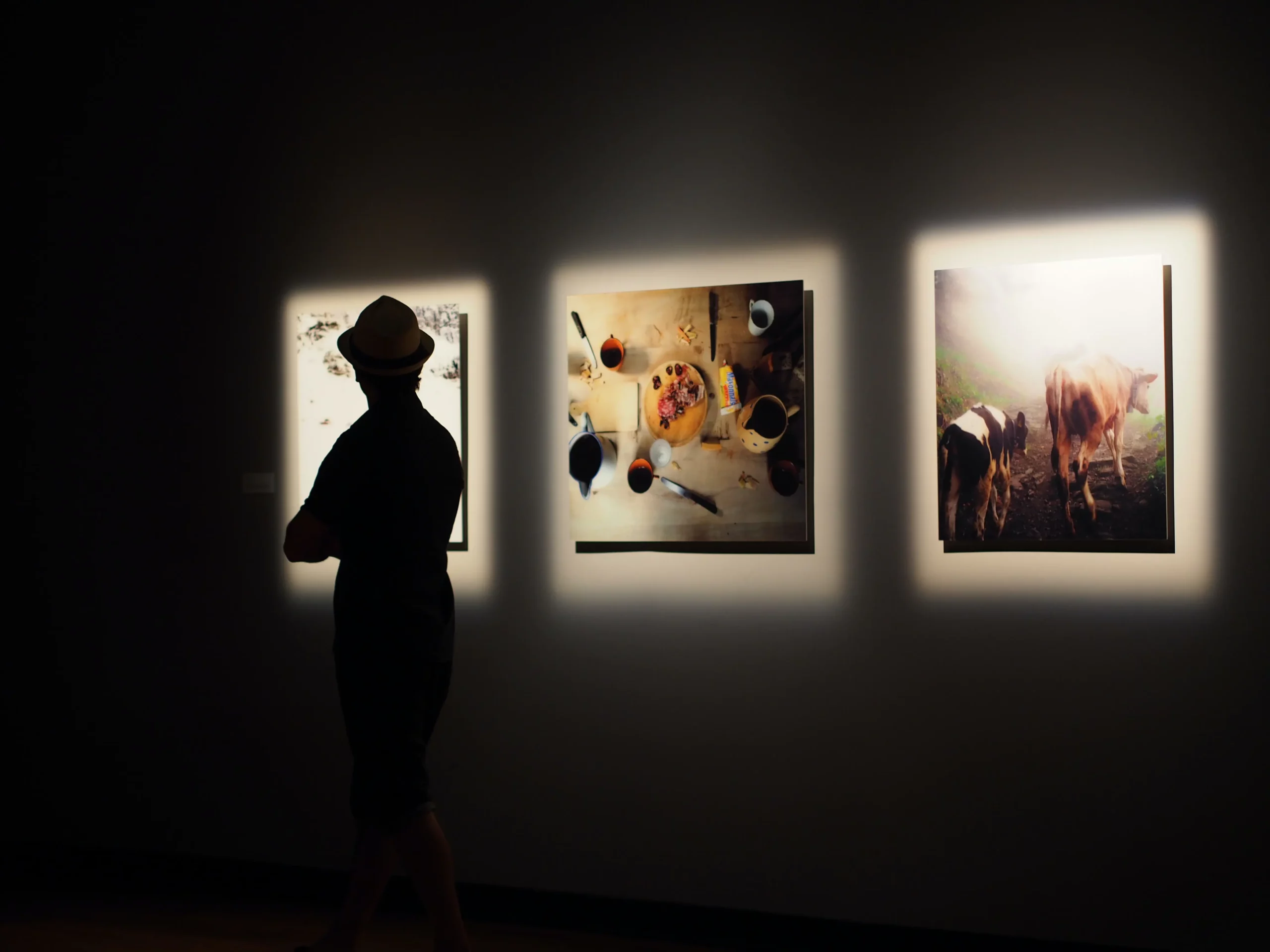 What is gallery light and how to choose? – Spaceway